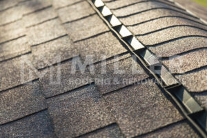 A Simple Guide To Roof Ridges For Homeowners (2024)