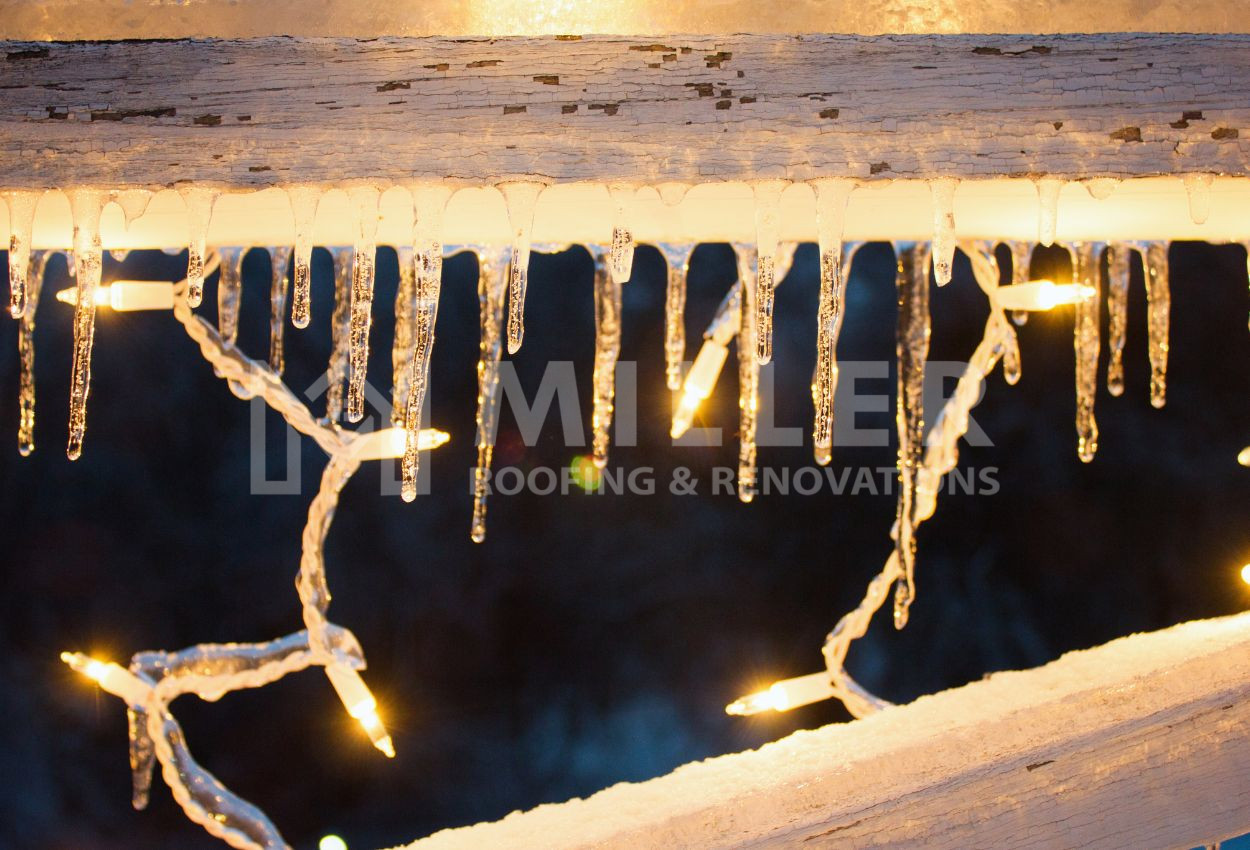 Best Outdoor Christmas Lights for Every Budget